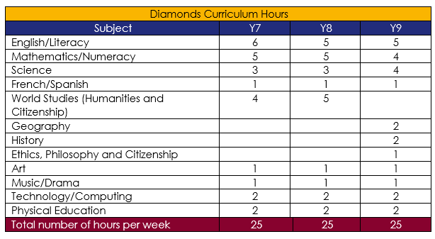 Curriculum Overview - Don Valley Academy